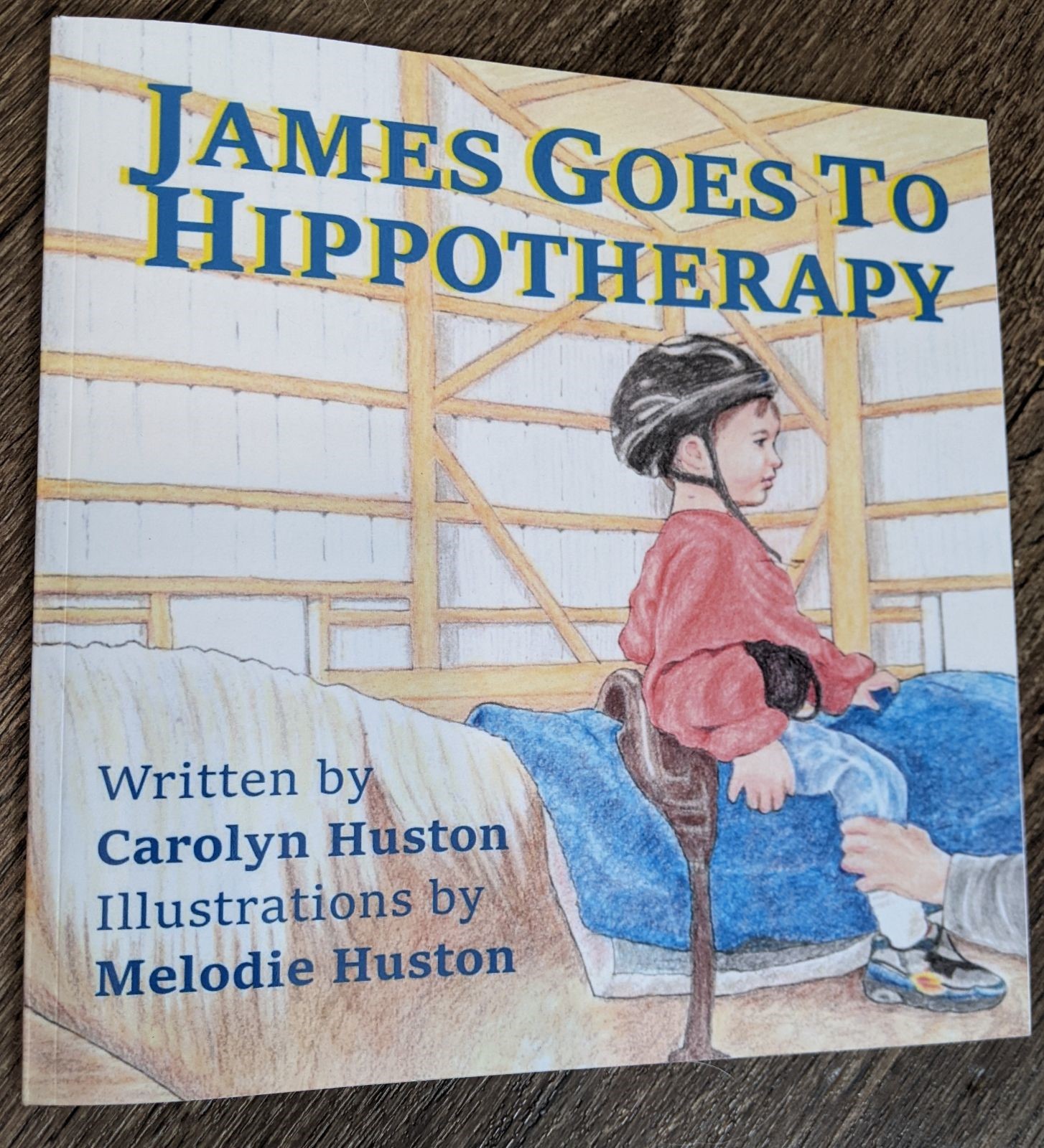 Hippotherapy Essentials: Gear and Equipment for your Occupational ...